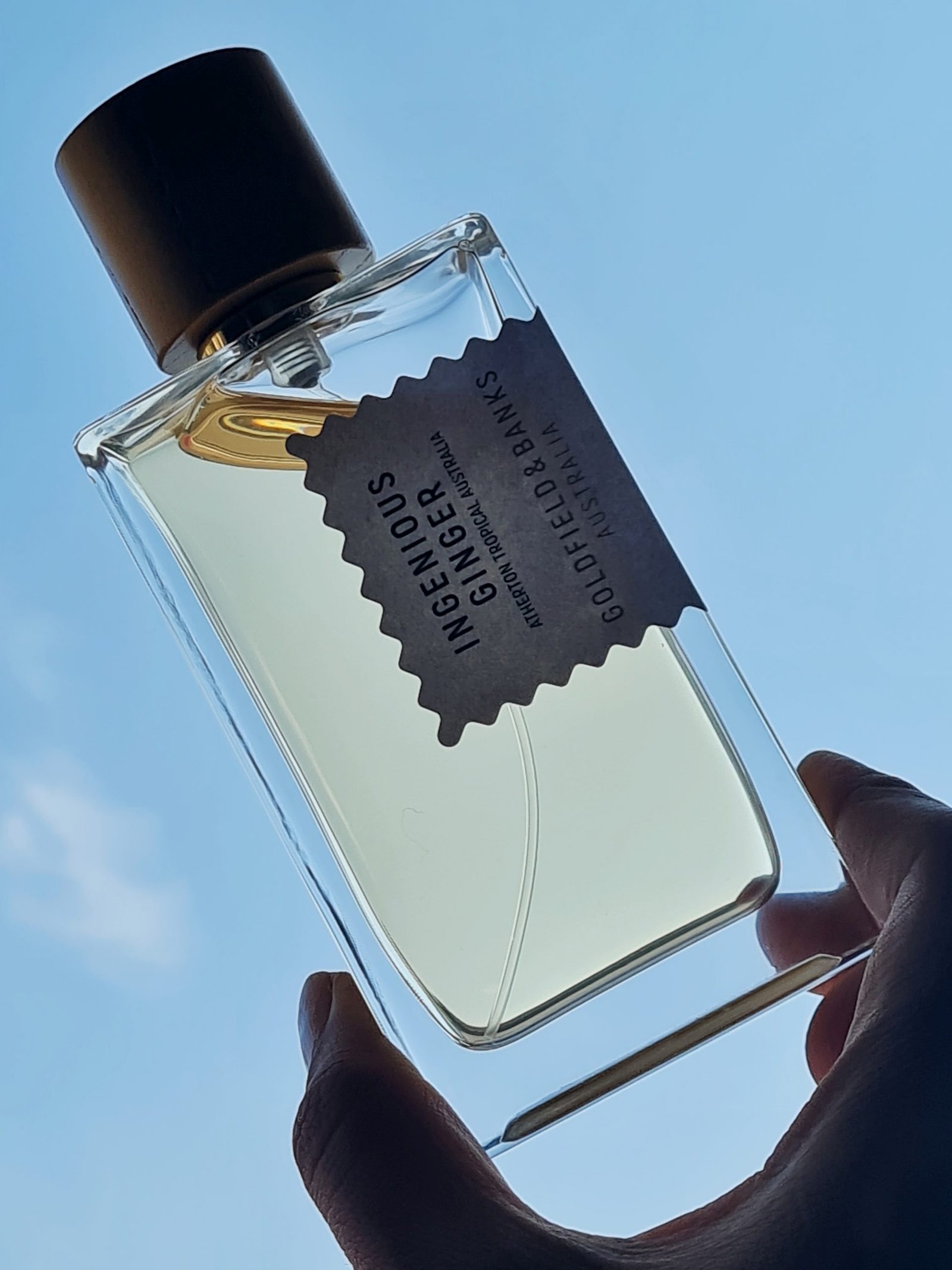 NEW Ingenious Ginger from Goldfield and Banks Australia - That ...